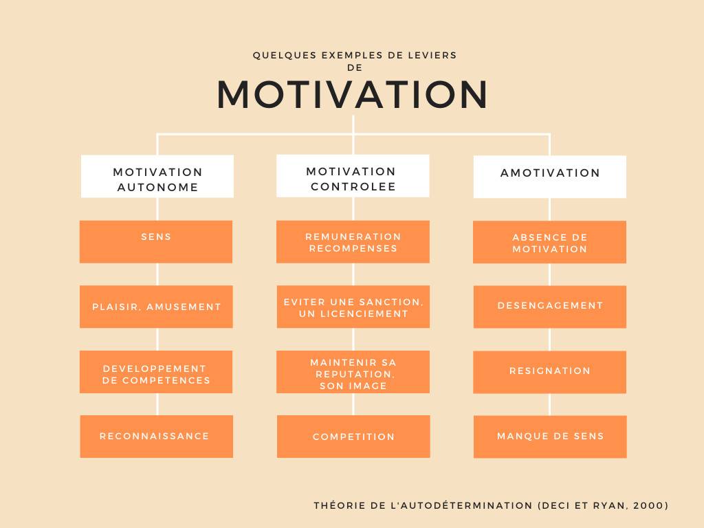 Importance des motivations au travail : Les 3 types révélés - General Infosmax